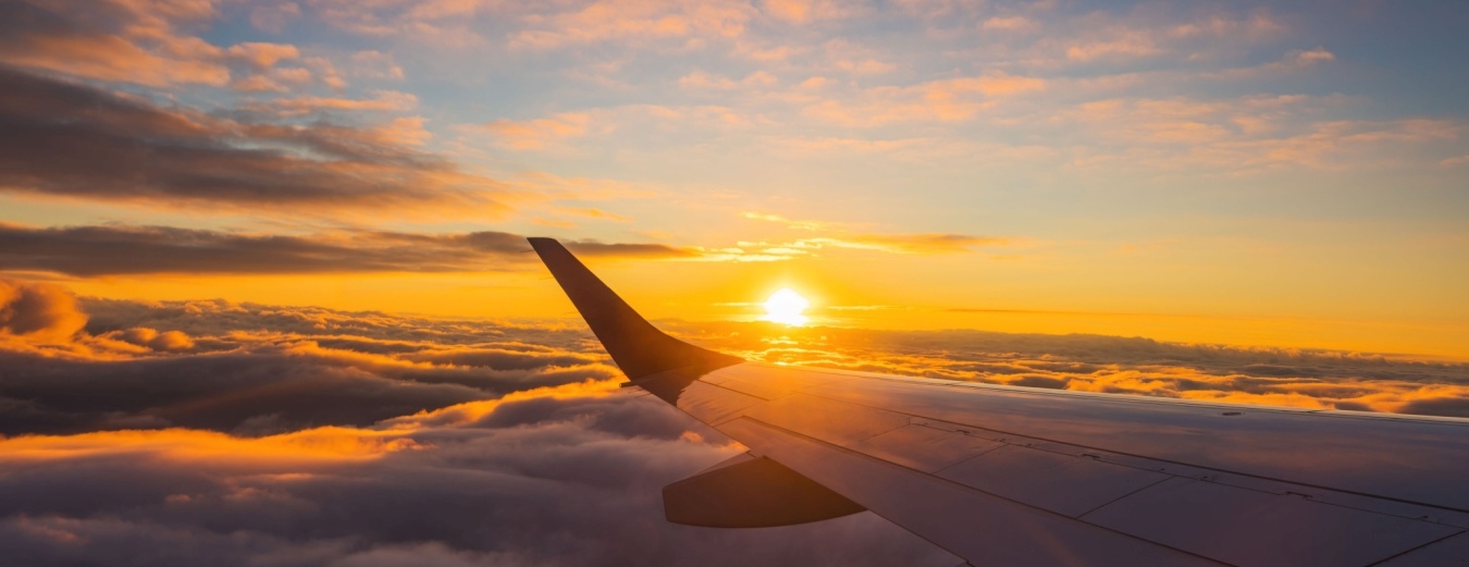 Startup wants to turn plant waste into biofuel for planes and ships