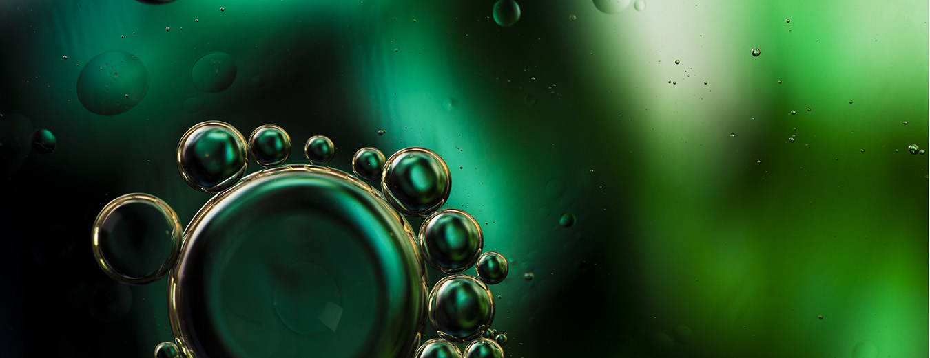 BP and Corteva launch biofuel feedstock joint venture